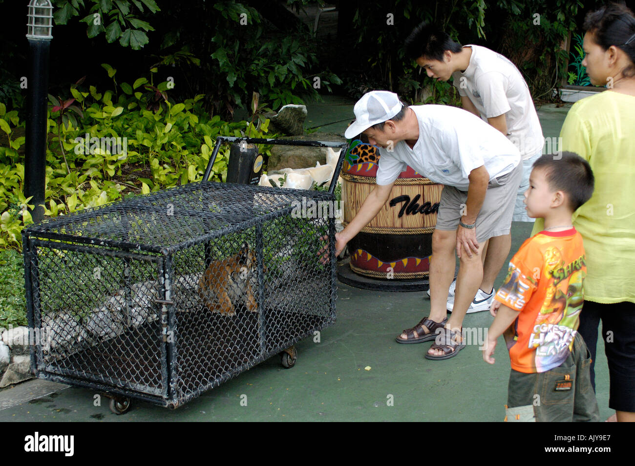 Safari world zoo and park bangkok hi-res stock photography and images ...