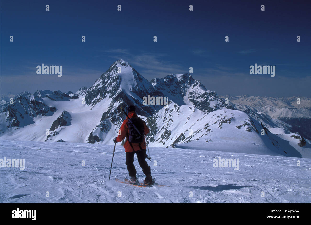 Skier descending from Piz Cevedale with Mount Ortler and Königsspitze ...