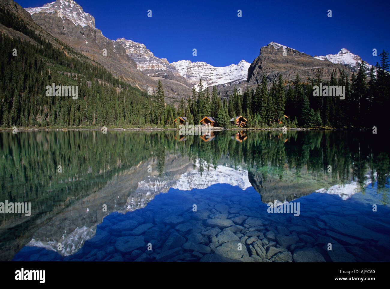 Lake O Hara Yoho National Park British Columbia Canada Stock Photo - Alamy