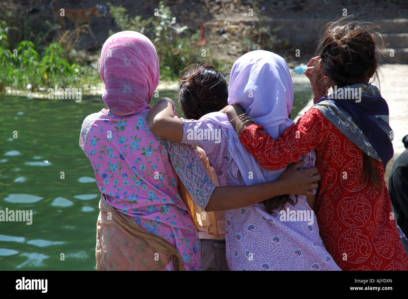 3 children in Gir a place in Gujarat in India Stock Photo - Alamy
