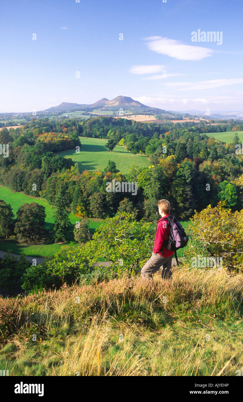 Autumn Scotts View in the Scottish Borders walker admiring the autumnal ...