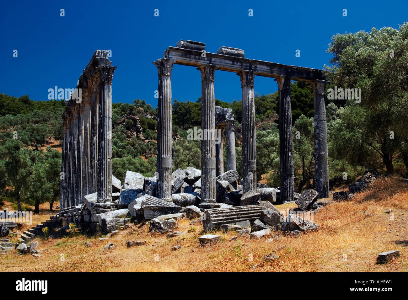 Temple of Zeus, Turkey Stock Photo - Alamy