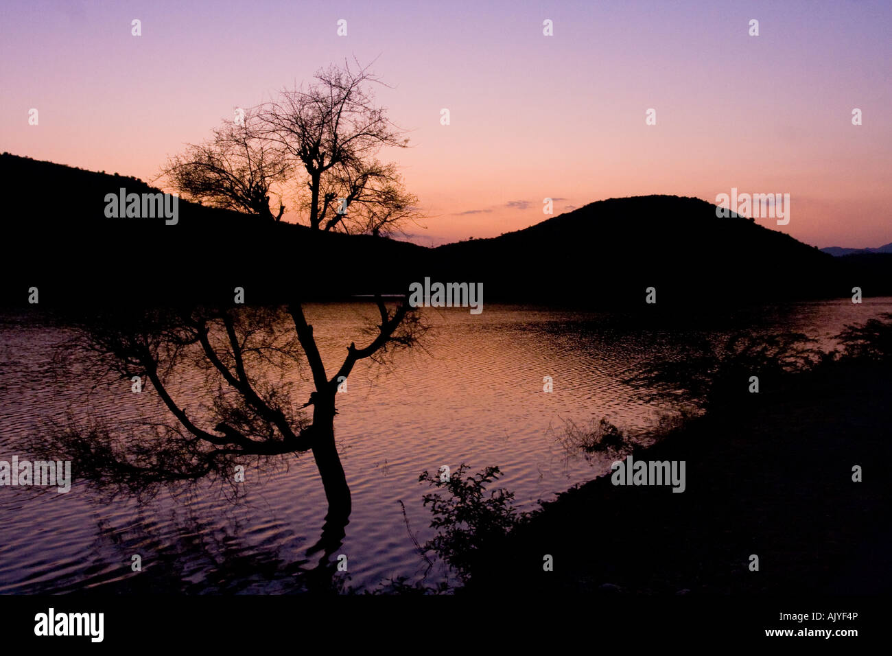 Talab hi-res stock photography and images - Alamy