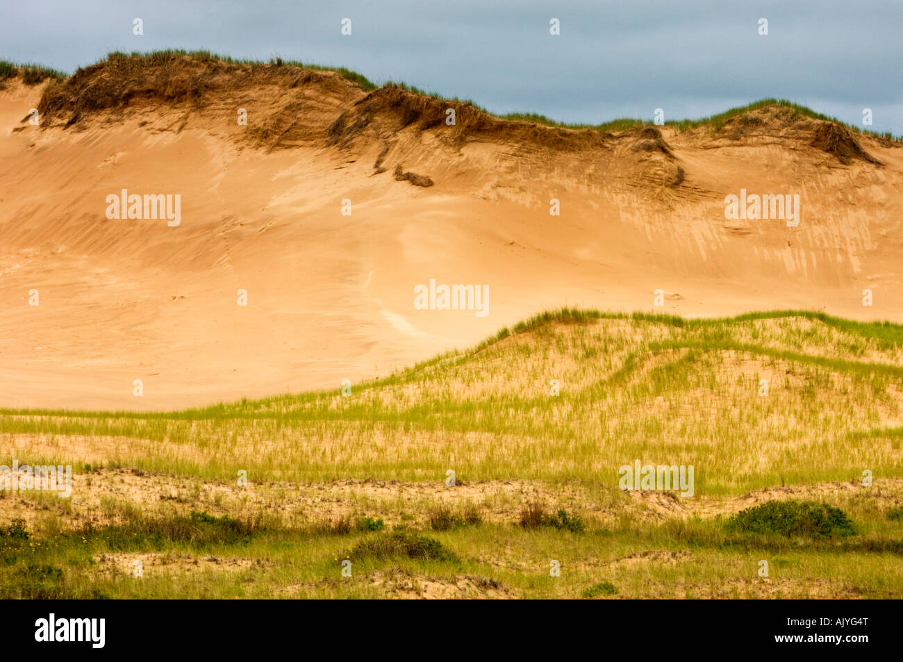 Parabolic Dunes Parabolic Dunes Tourism