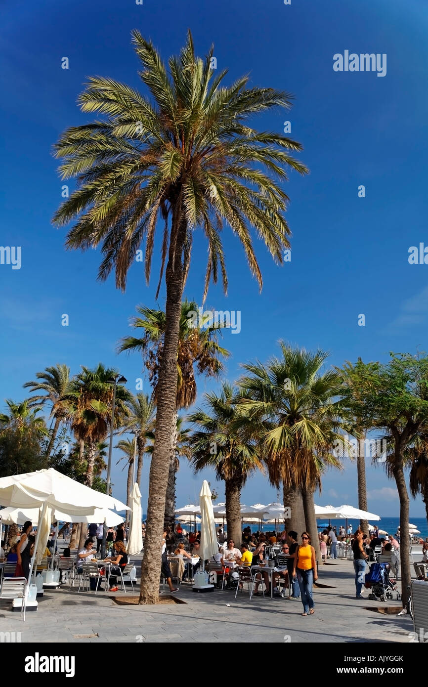 Palmen cafe hi-res stock photography and images - Alamy