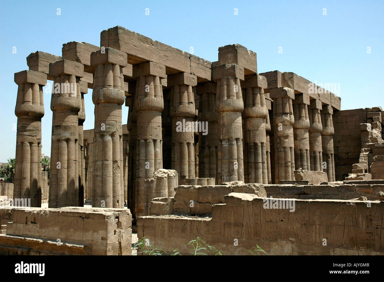 Luxor Temple papyrus columns, Egypt Stock Photo - Alamy