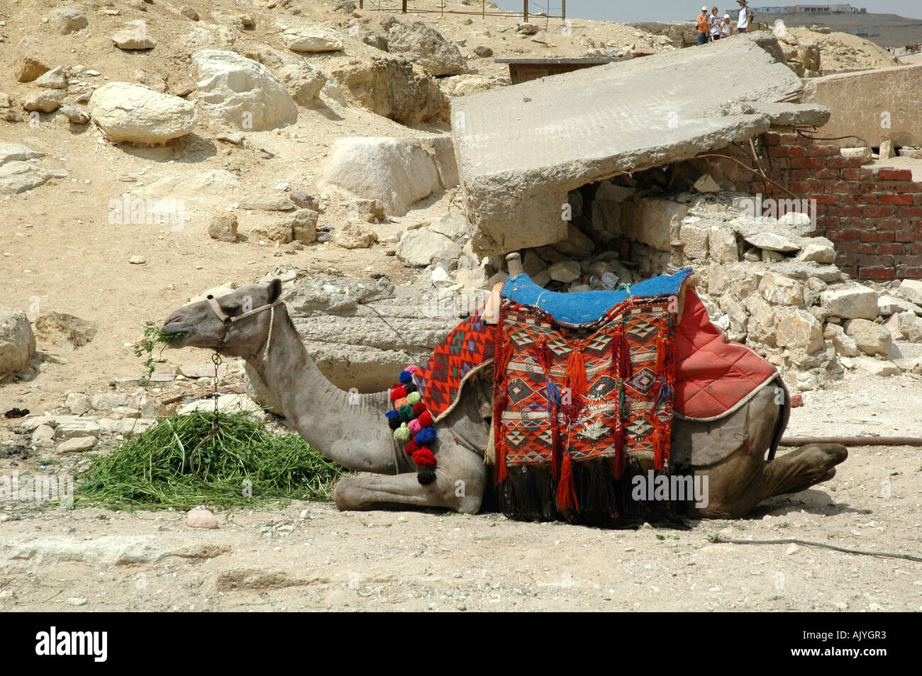 Al ahram egypt hi-res stock photography and images - Alamy