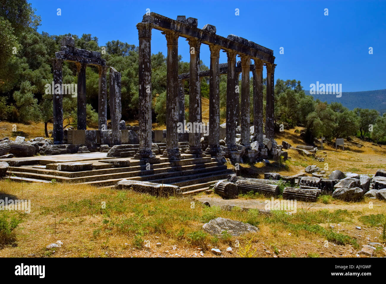 Temple of Zeus, Turkey Stock Photo - Alamy