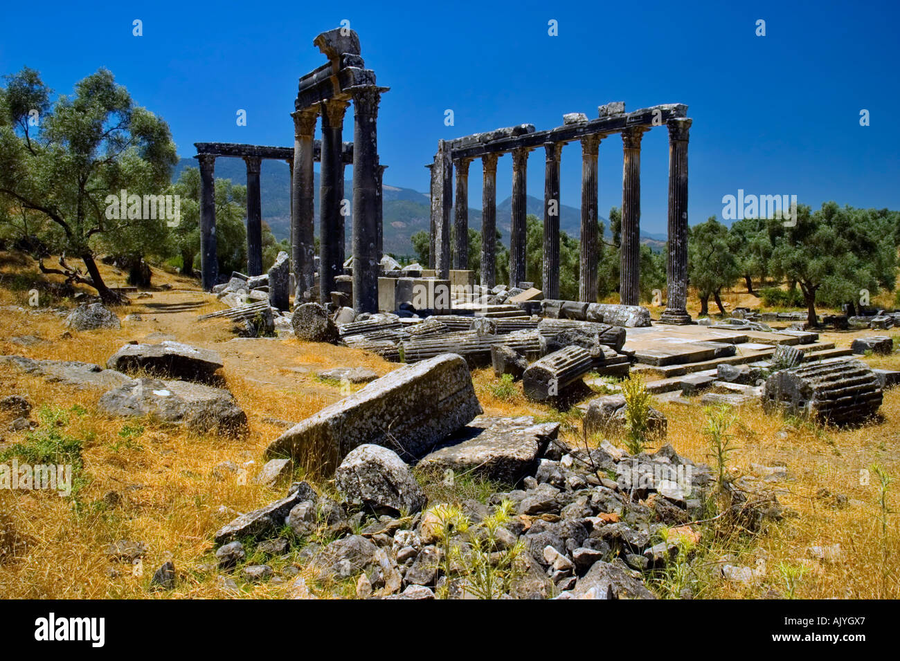 Temple of Zeus, Turkey Stock Photo - Alamy