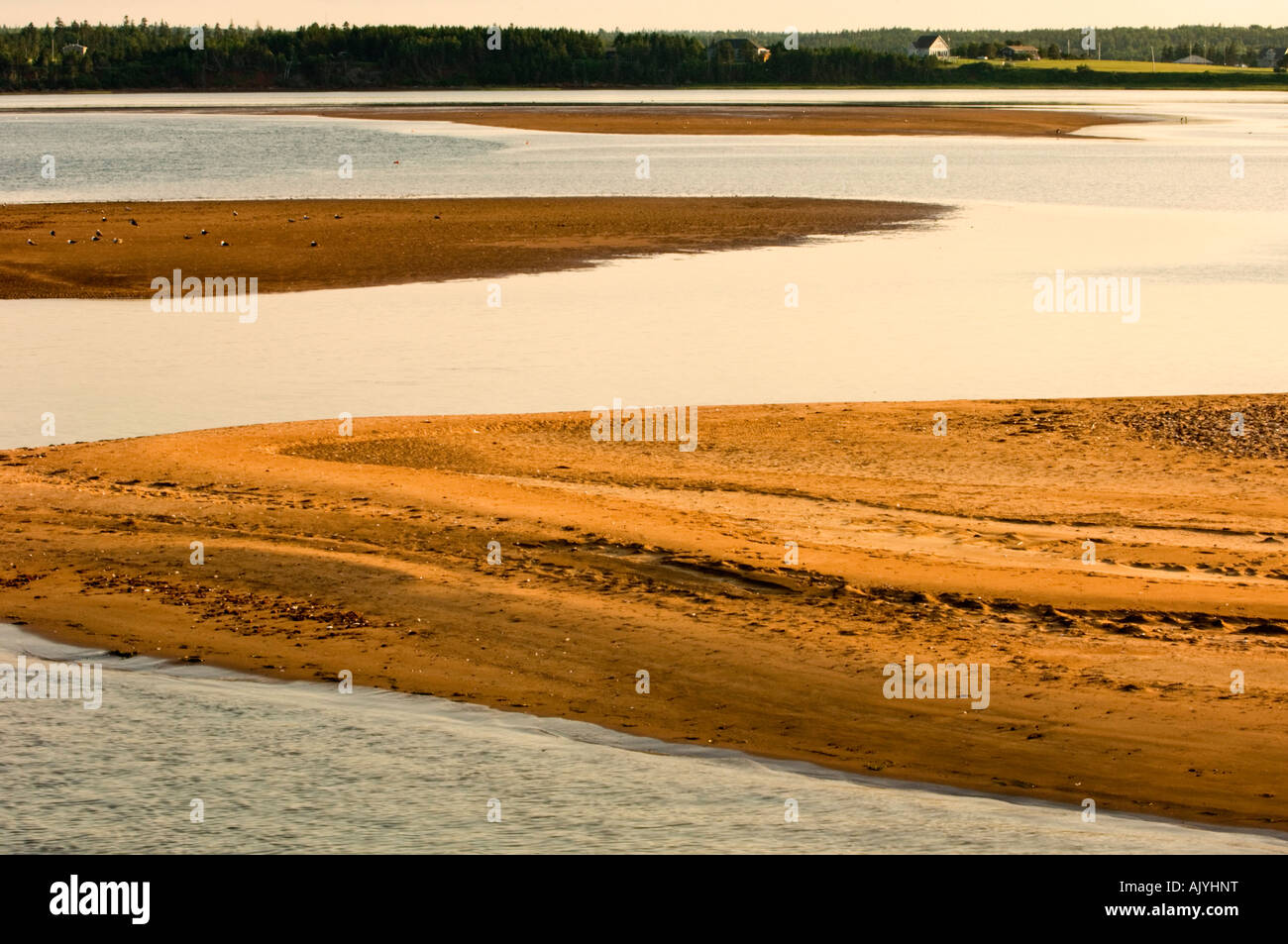 Sand bars near Covehead harbour, Stanhope, PE/PEI Prince Edward Island ...
