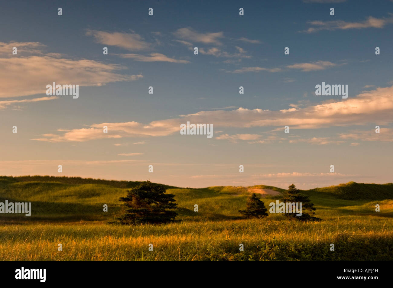 Covehead dunes near sunset, Covehead/Stanhope, PE/PEI Prince Edward ...