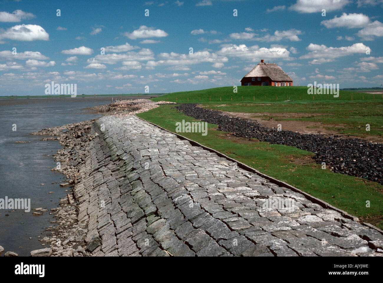 Habel hi-res stock photography and images - Alamy