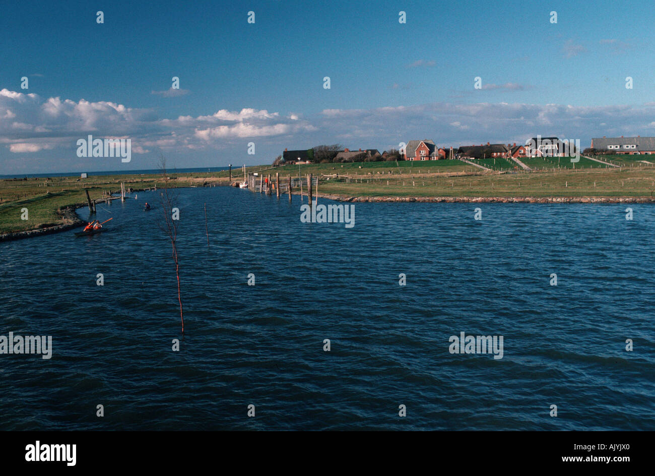 Hallig oland hi-res stock photography and images - Alamy