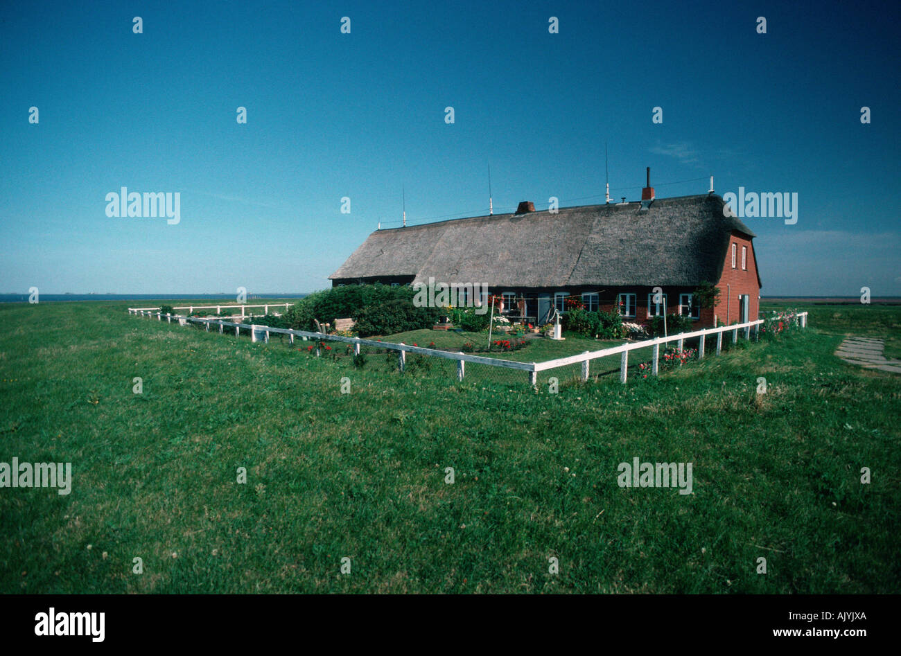 Groede hallig hi-res stock photography and images - Alamy