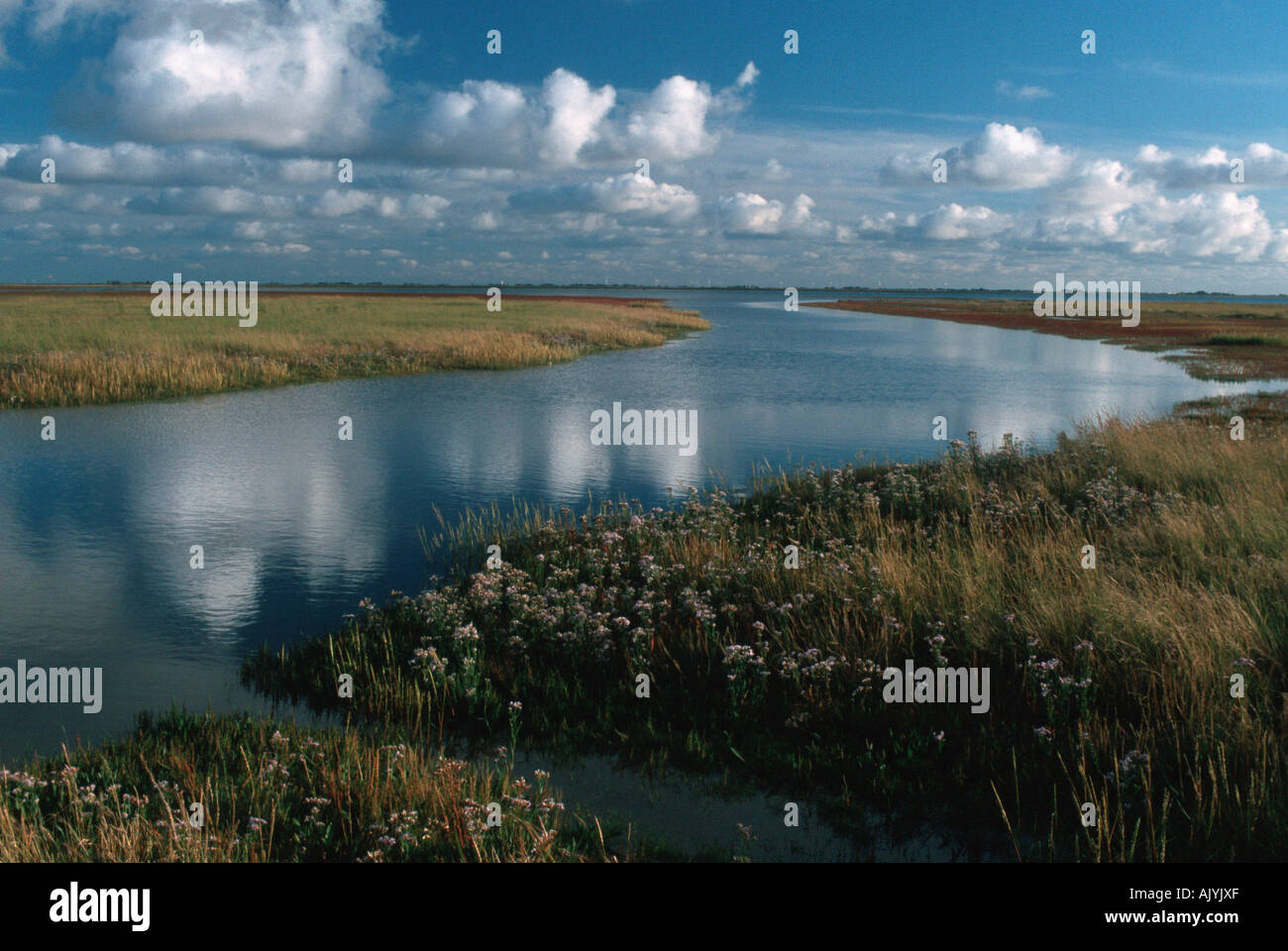 Priel im wattenmeer hi-res stock photography and images - Alamy