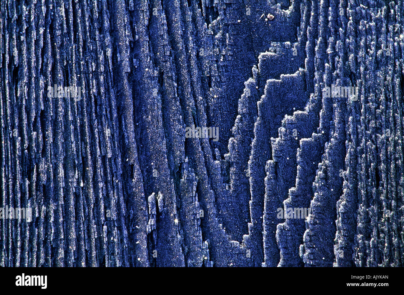 Wood grain in frost Stock Photo - Alamy