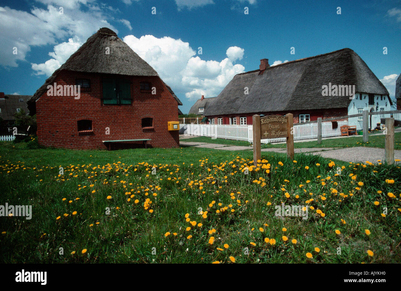 Hallig langeness hi-res stock photography and images - Alamy