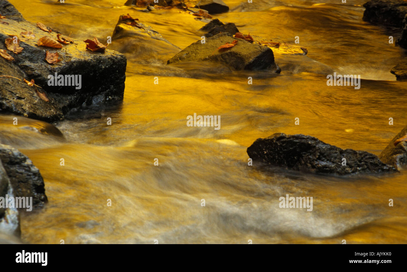 Bright autumnal colours reflected in a stream Stock Photo - Alamy