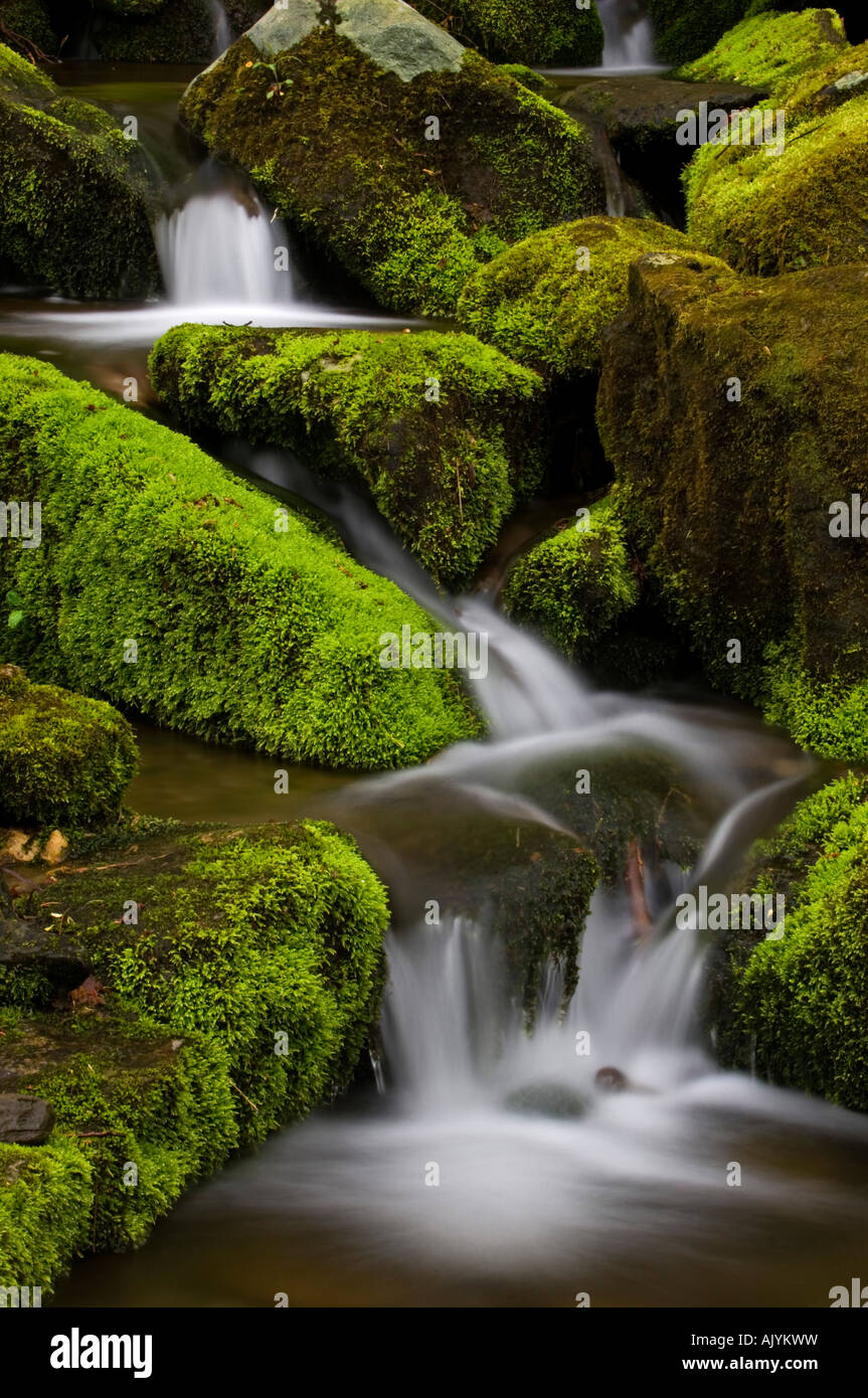 Southern Appalachian Mountains Spring scenic Stock Photo - Alamy