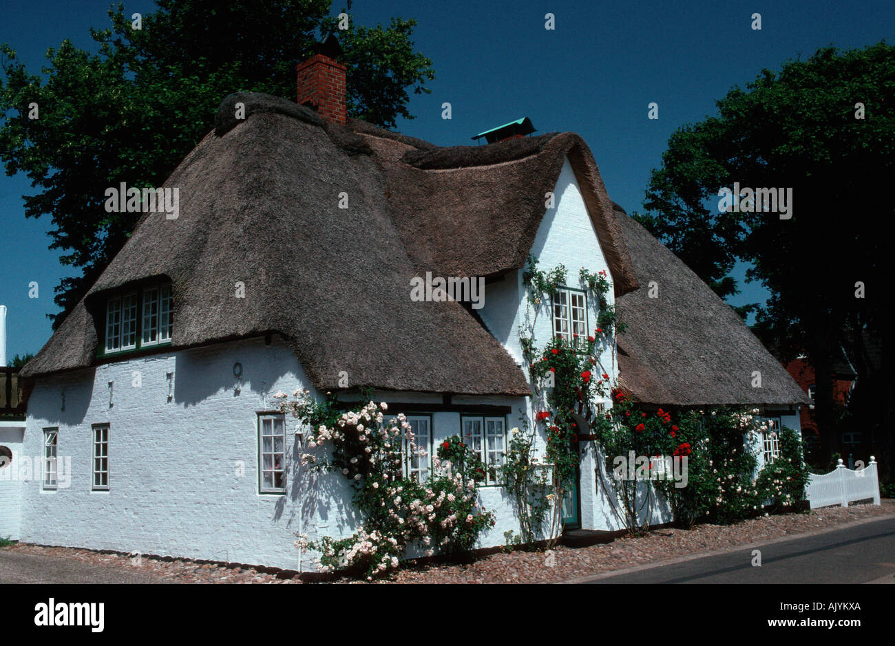 Reed roofed house / Friesenhaus / Rieddachhaus / Reetgedecktes Haus ...