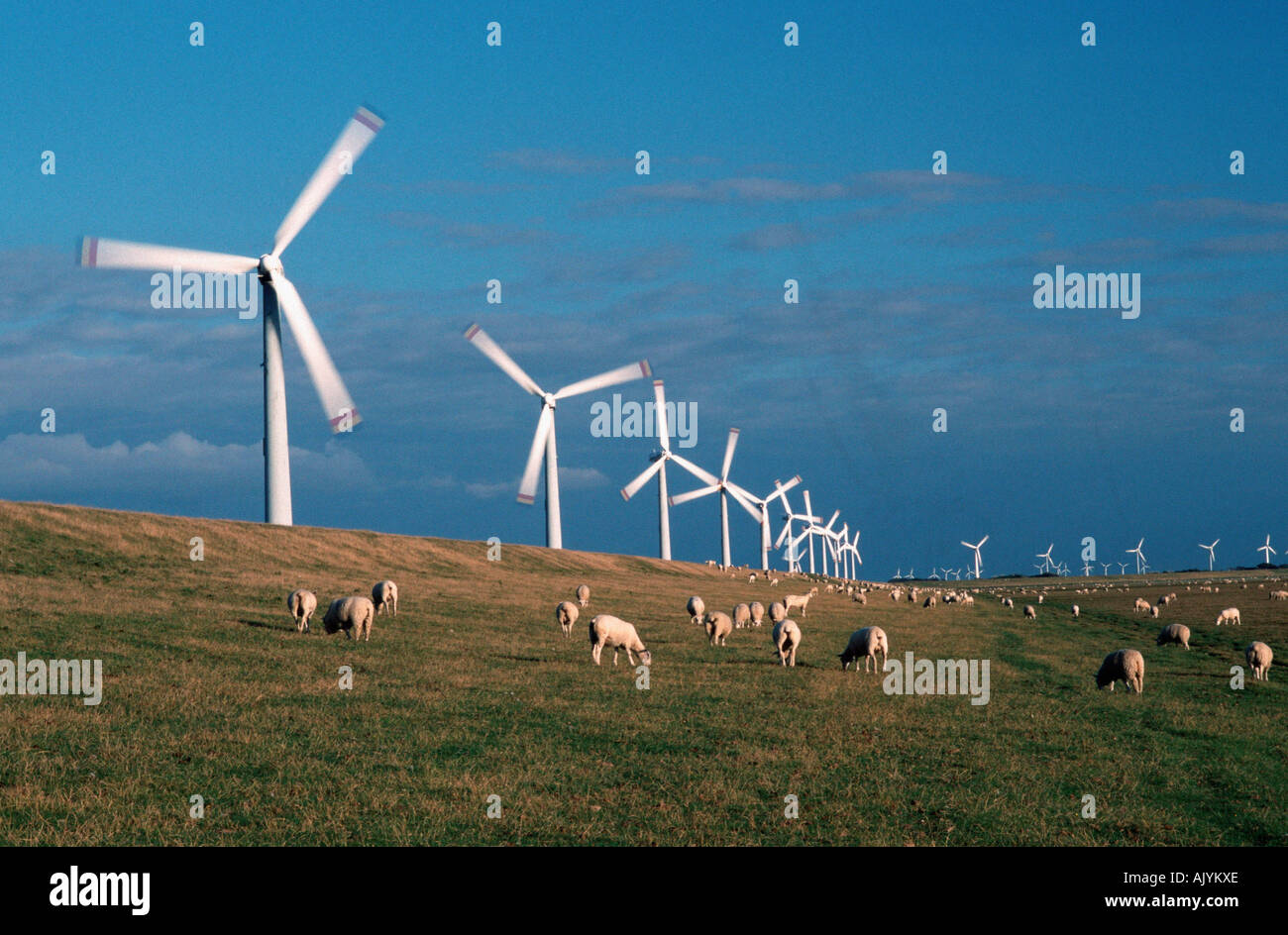 Wind mill / Wind turbine / Windrad / Windkraftrad Stock Photo - Alamy
