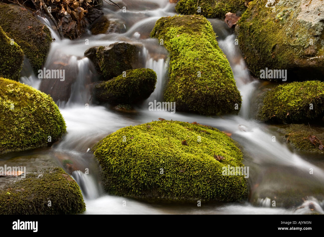 Waterfall in tributary of Little River, Great Smoky Mountains National ...