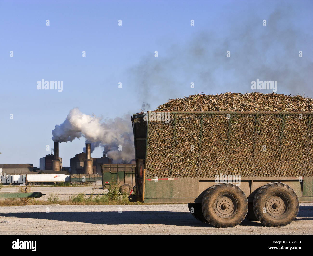 Sugar cane milling hi-res stock photography and images - Alamy