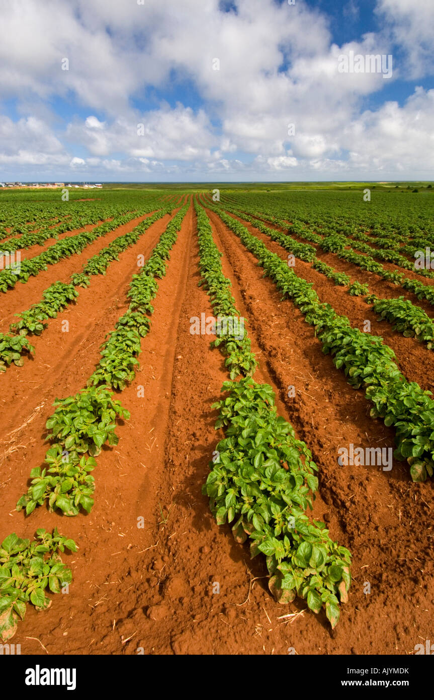 North lake pei hi-res stock photography and images - Alamy