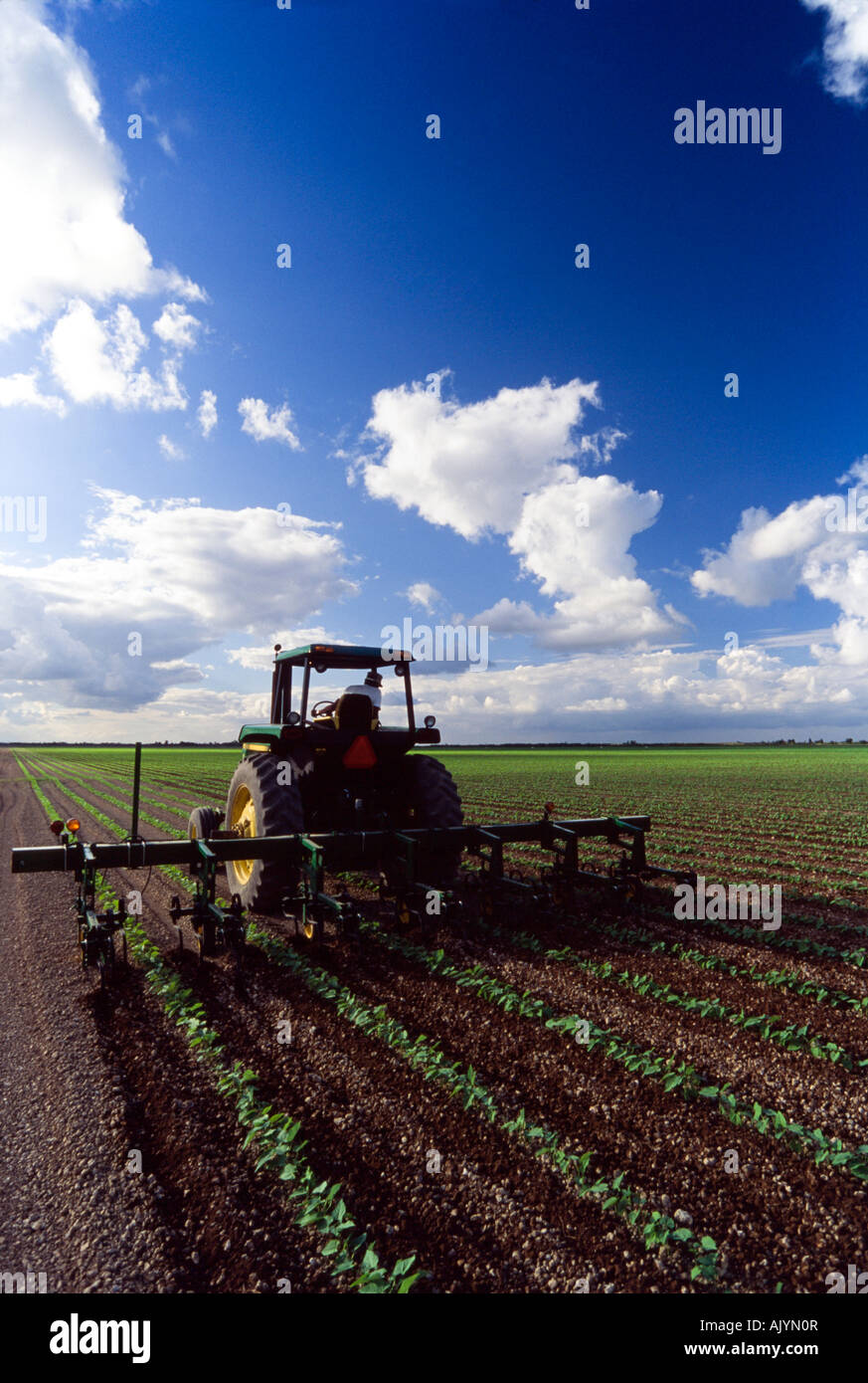 Crops in field,tractor in fields, crops in rows, farm worker Stock ...