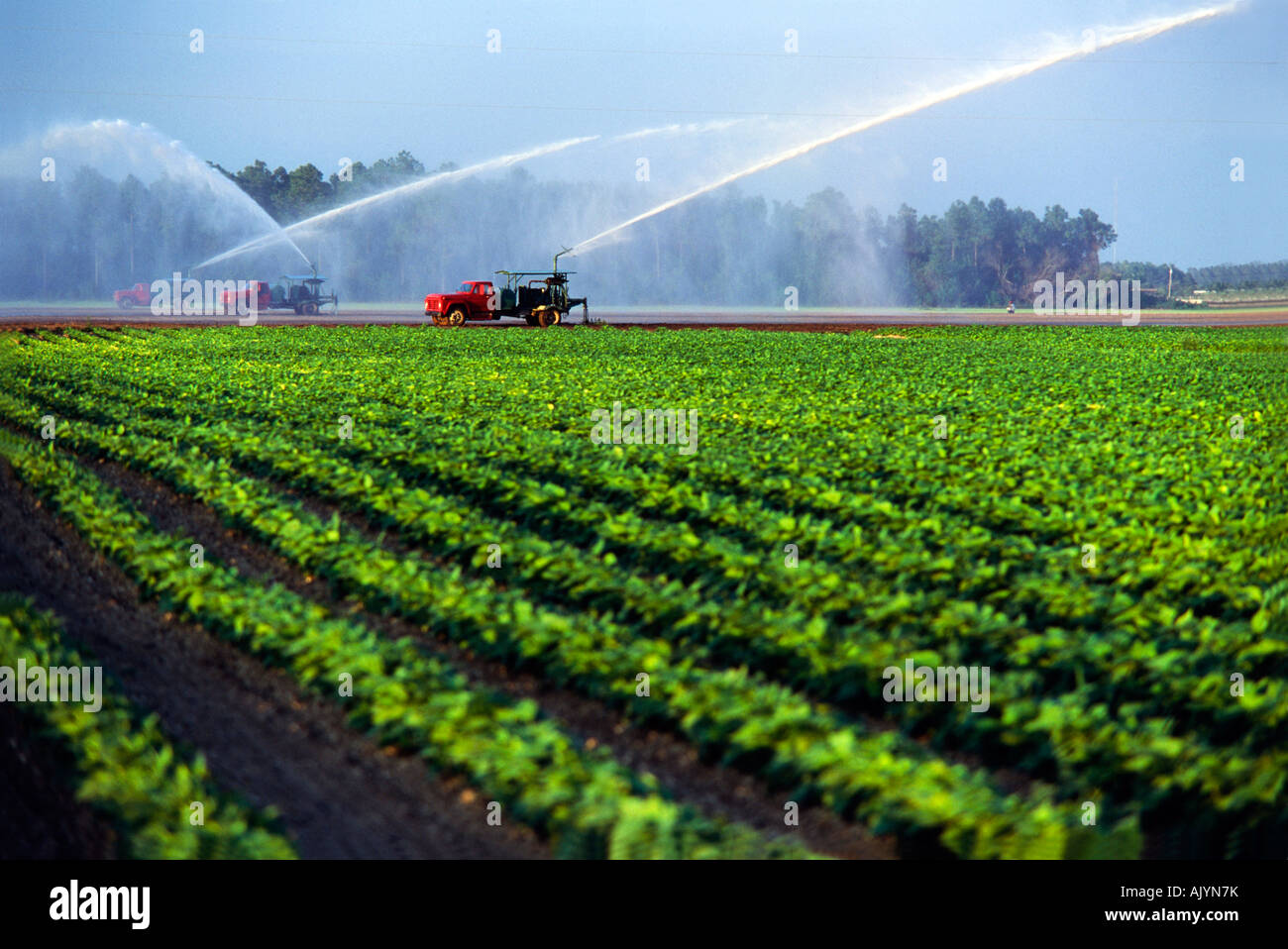 Spray irrigation of crops hi-res stock photography and images - Alamy