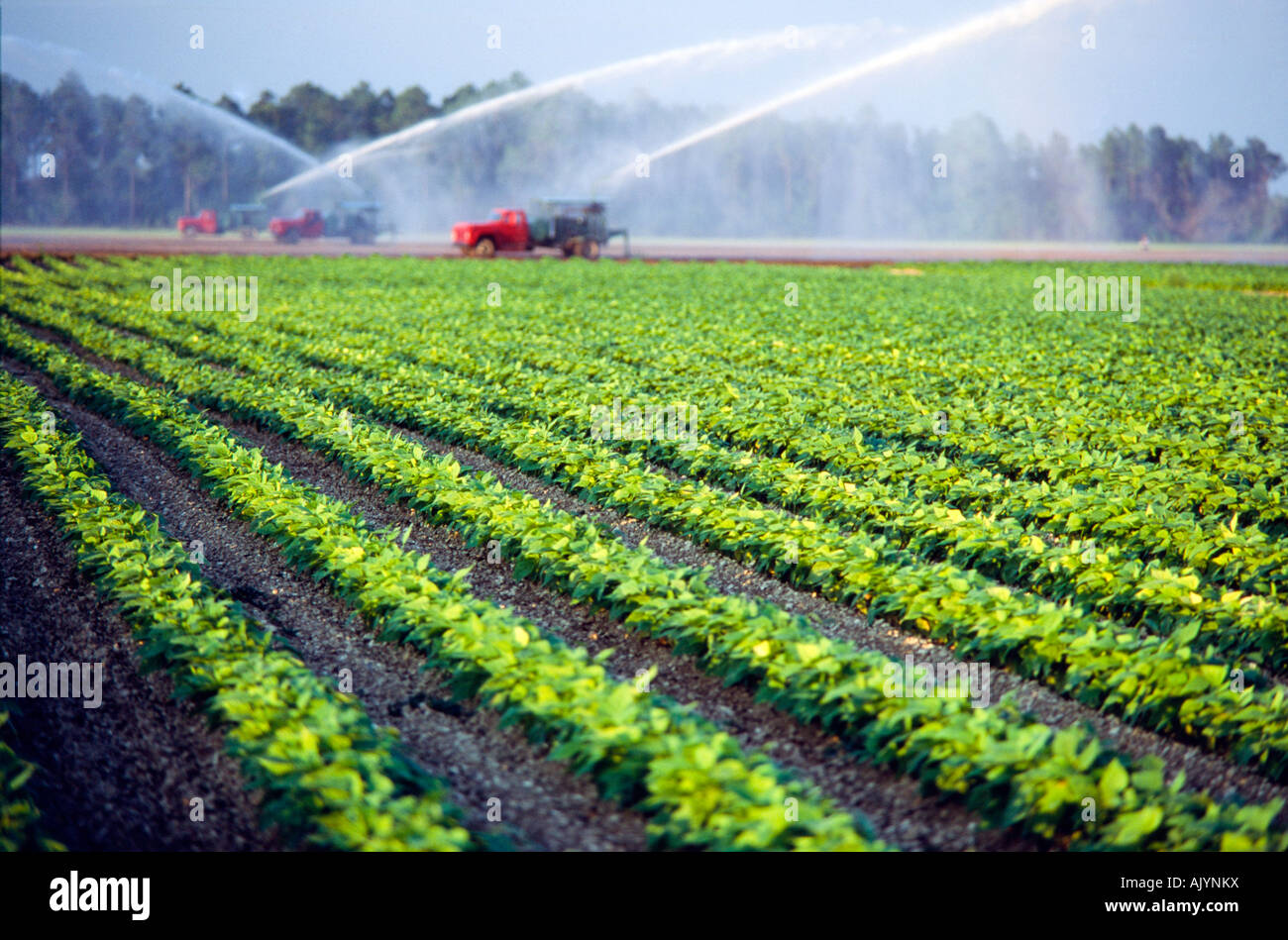 Irrigation rows hi-res stock photography and images - Alamy