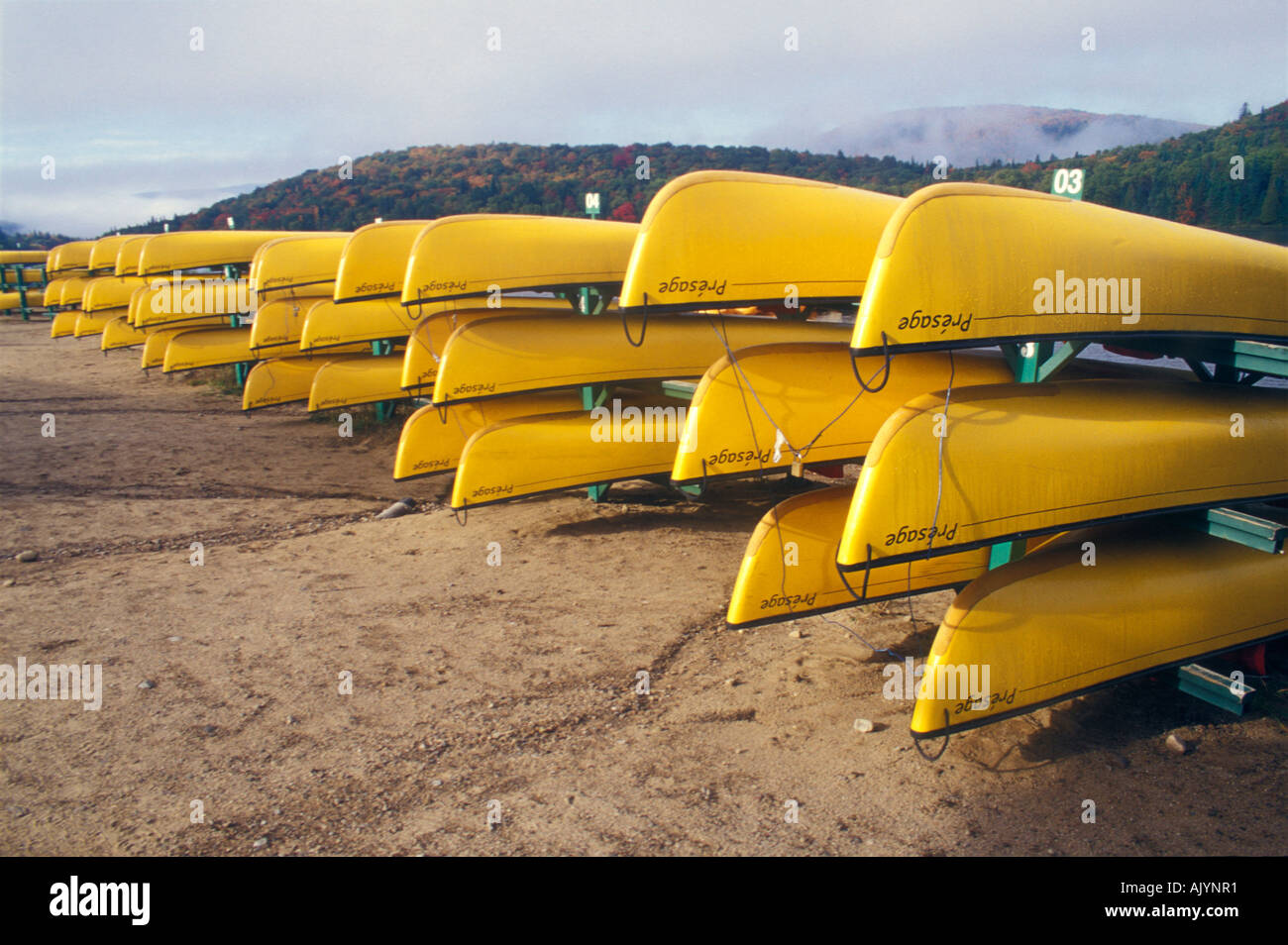 Bright yellow plastic canoes in storage at Mont Tremblant Quebec Canada ...