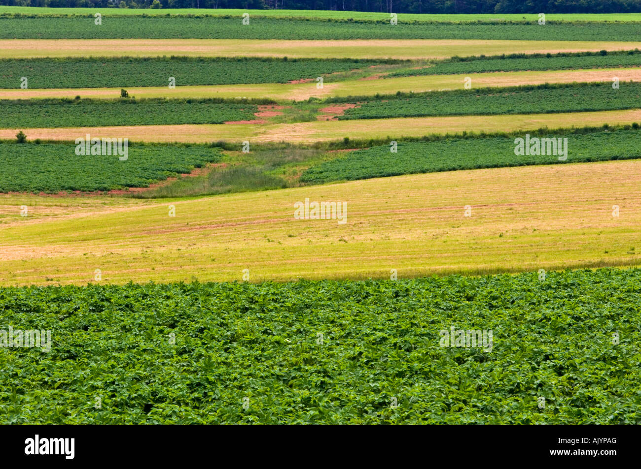 Crop rotation hi-res stock photography and images - Alamy