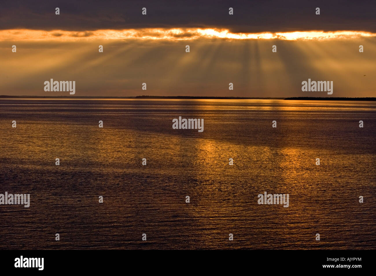 Malpeque bay prince edward island hi-res stock photography and images ...
