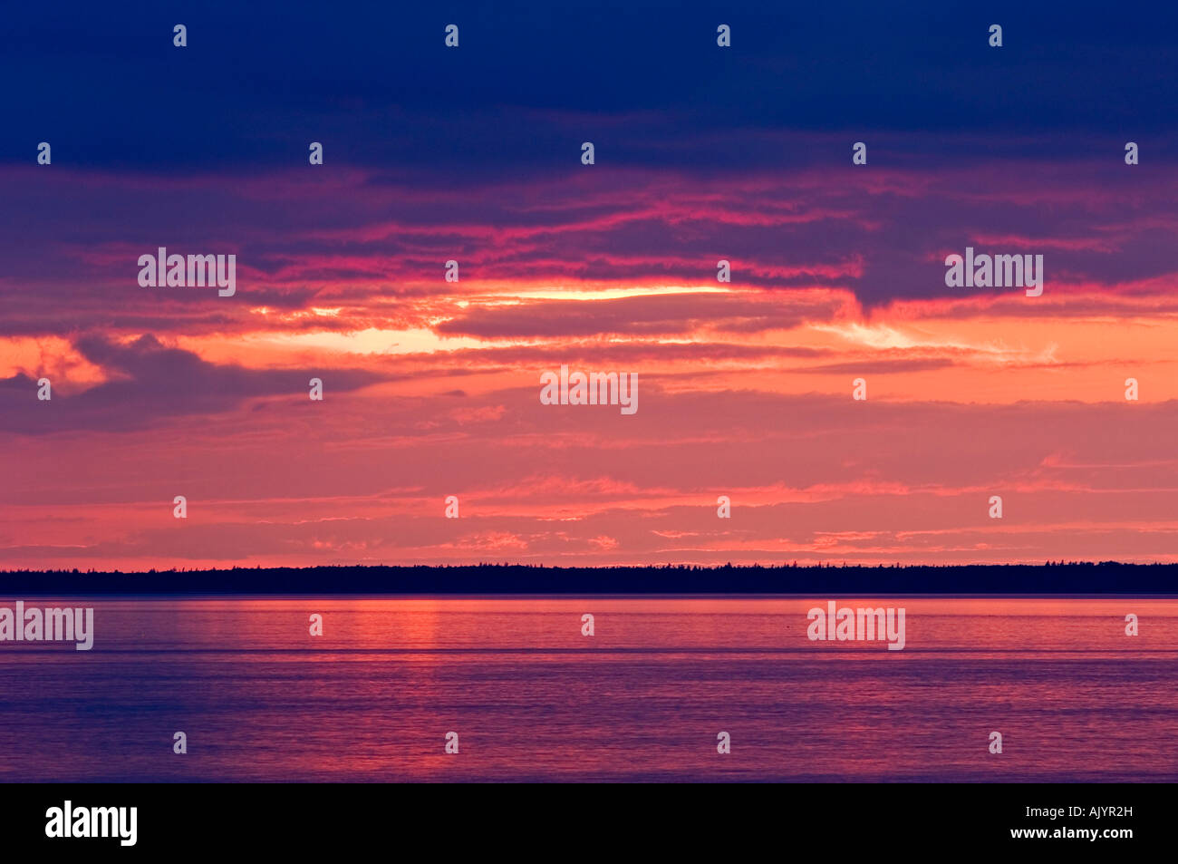 Malpeque bay prince edward island hi-res stock photography and images ...