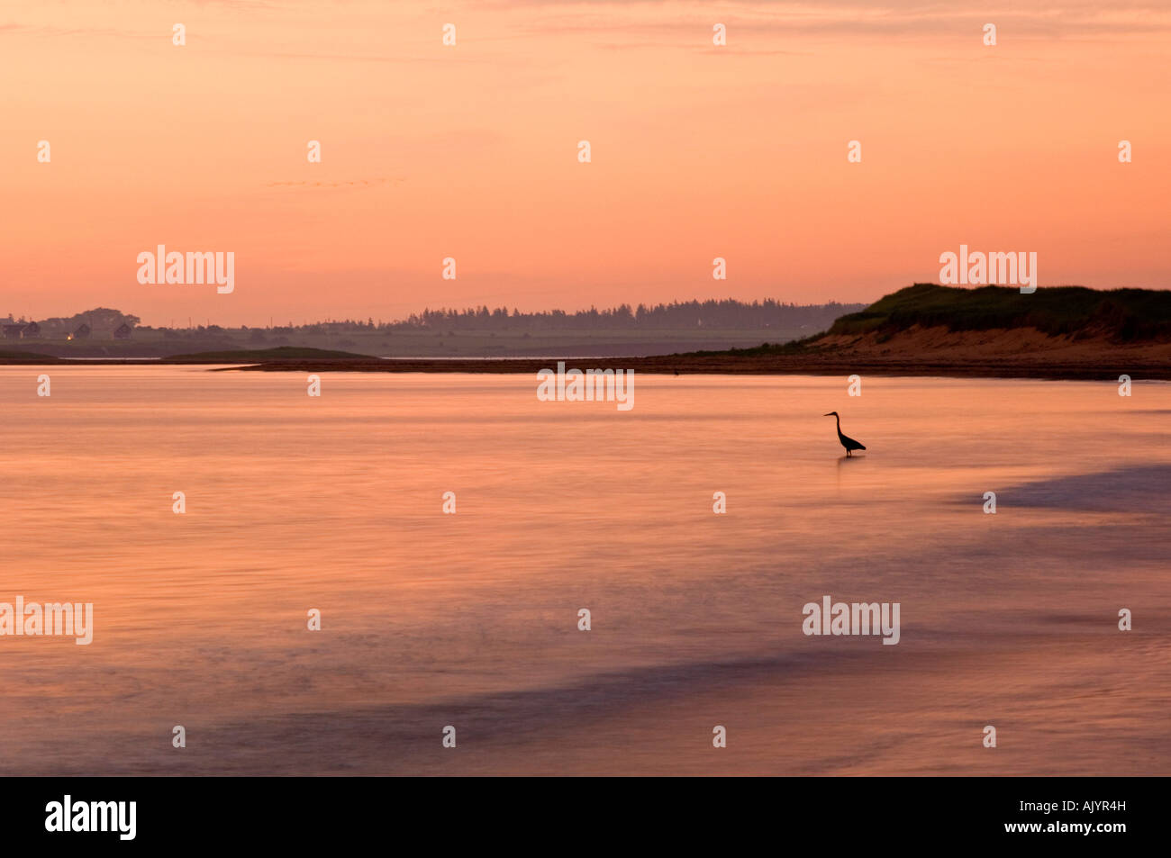 Dawn over the Gulf of St. Lawrence along Cabot Beach, Malpeque, PE/PEI ...