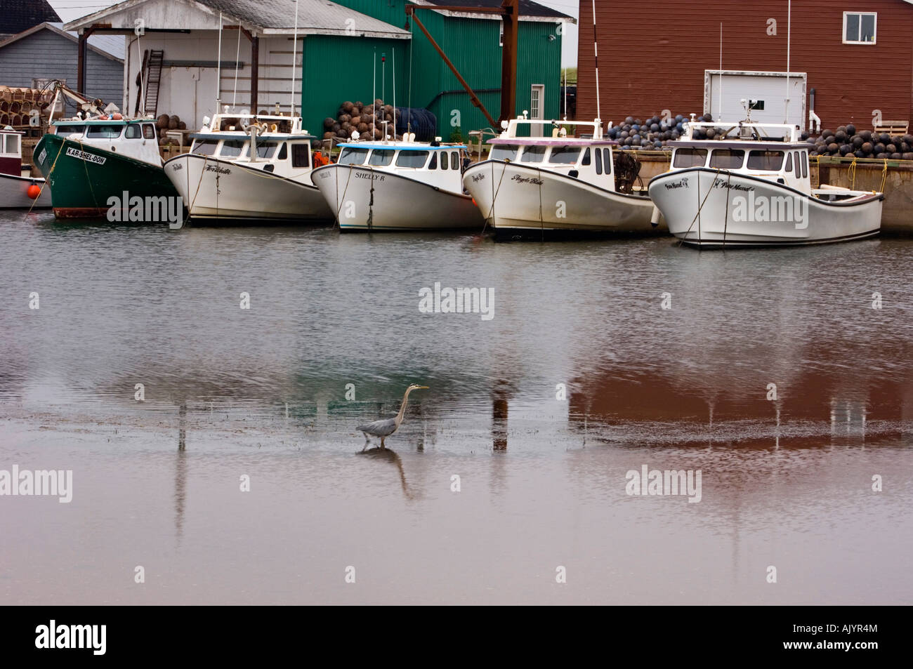Moored longliners in Malpeque Harbour, Malpeque, PE/PEI Prince Edward ...