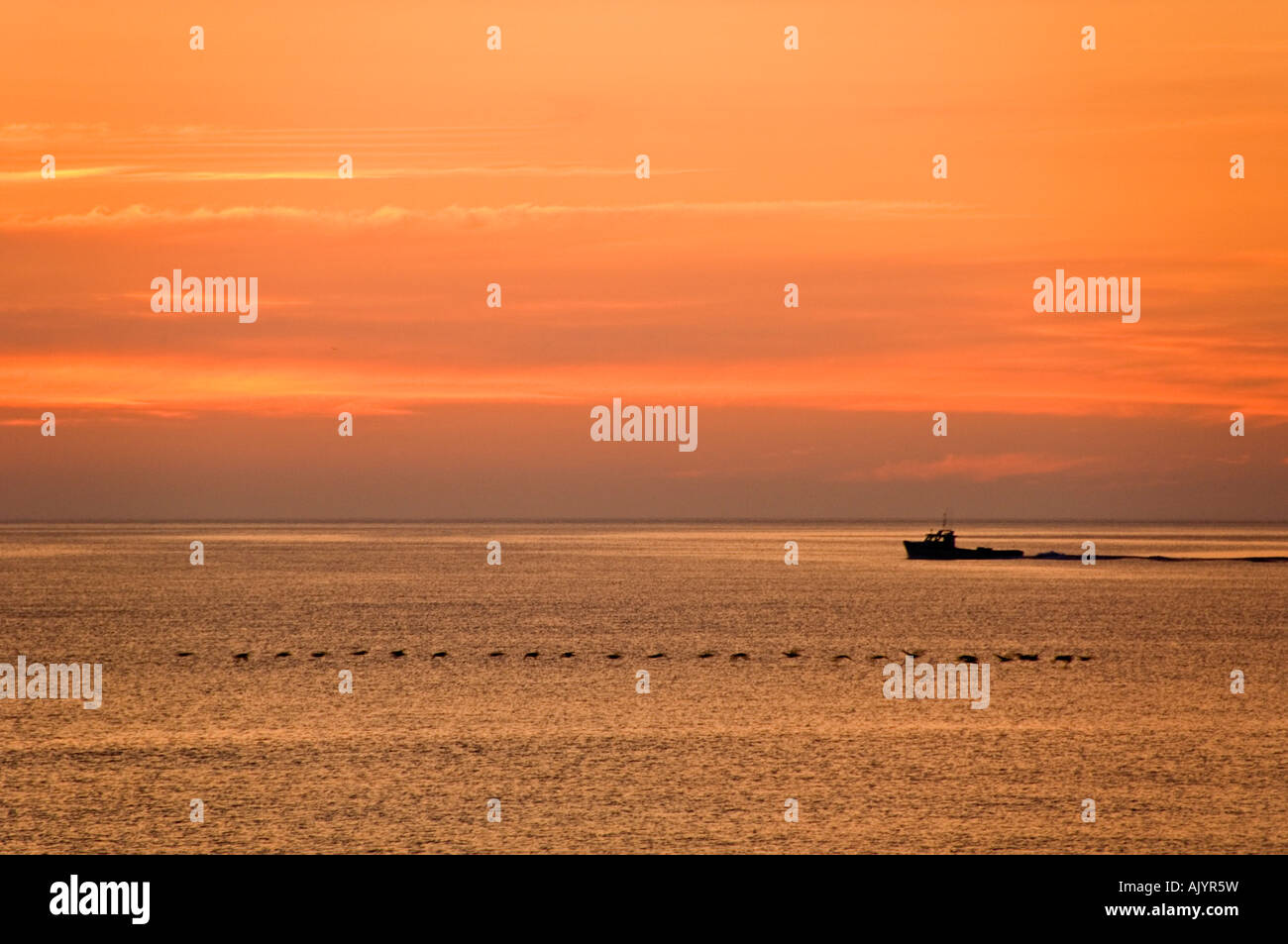 Longliner heading out to the Gulf of St. Lawrence at dawn, Malpeque, PE ...
