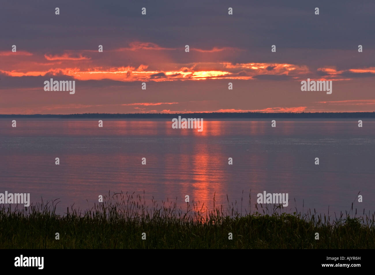 Malpeque bay prince edward island hi-res stock photography and images ...
