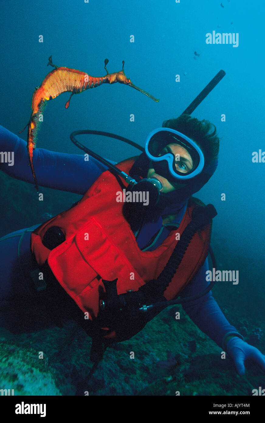 Woman dragon hi-res stock photography and images - Alamy