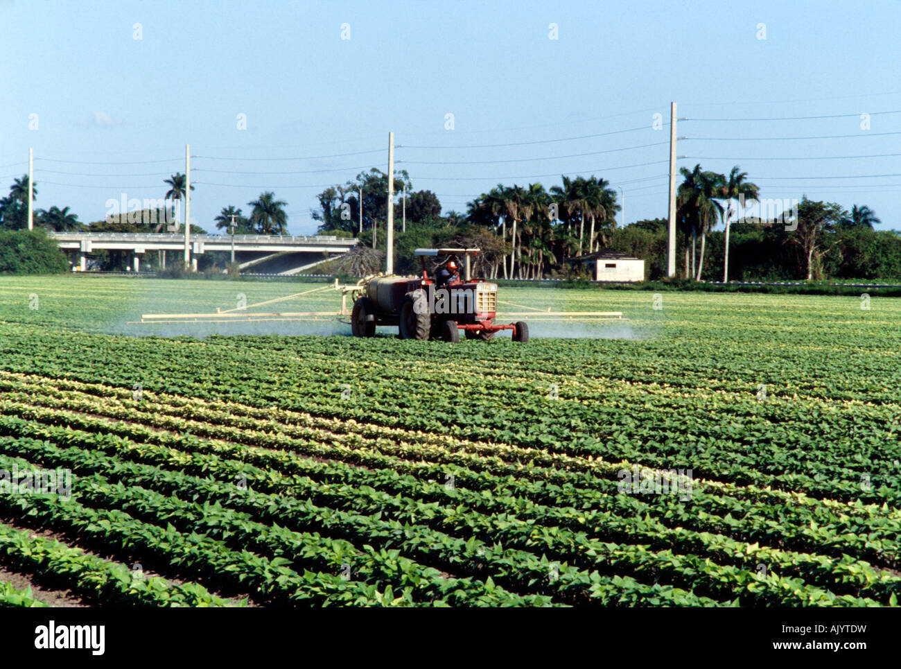 Crops in field,tractor in fields, crops in rows, farm worker Stock ...