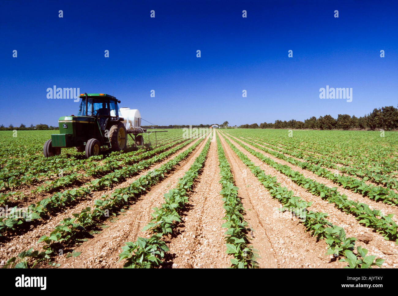 Crops in field,tractor in fields, crops in rows, farm worker Stock ...