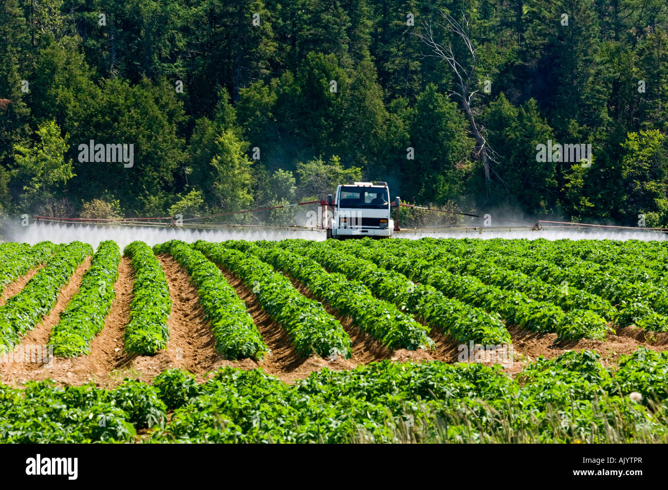 Spraying operation on potato field, Waterville, NB New Brunswick ...