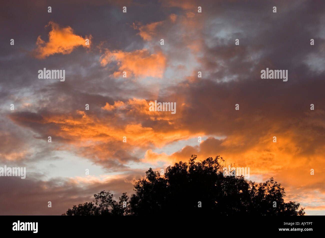 Sunset skies and tree silhouettes, Greater Sudbury, Ontario, Canada ...