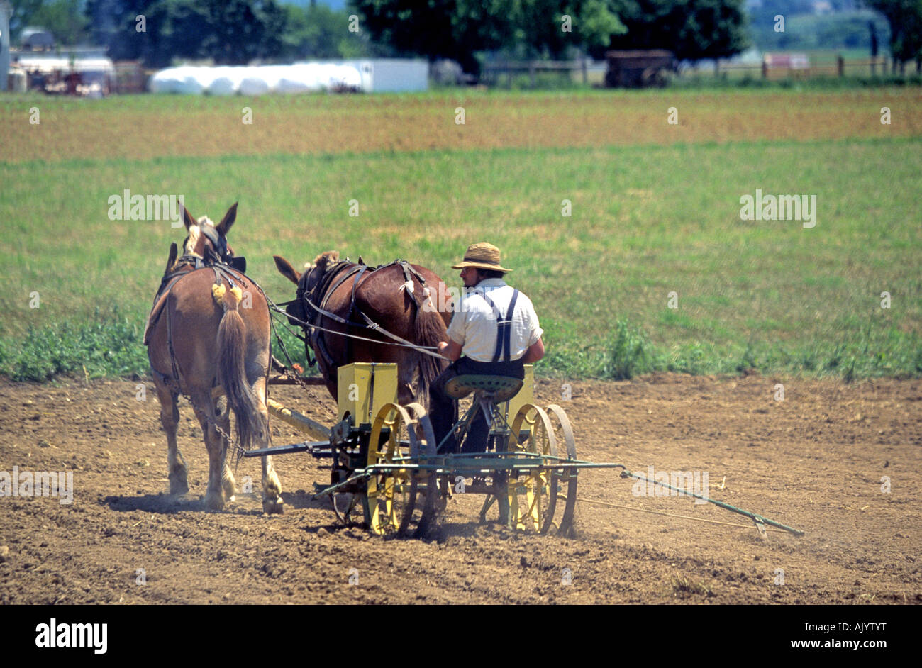 Amish farmers farm people hi-res stock photography and images - Alamy