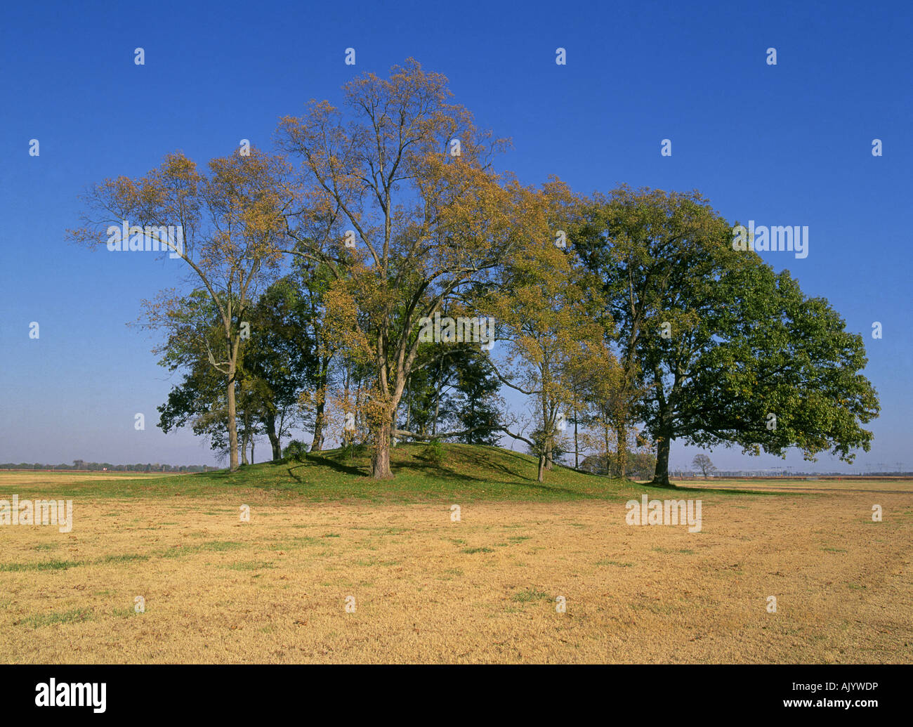 A view of Toltec Mounds State Archaeological Park in Scott Arkansas ...