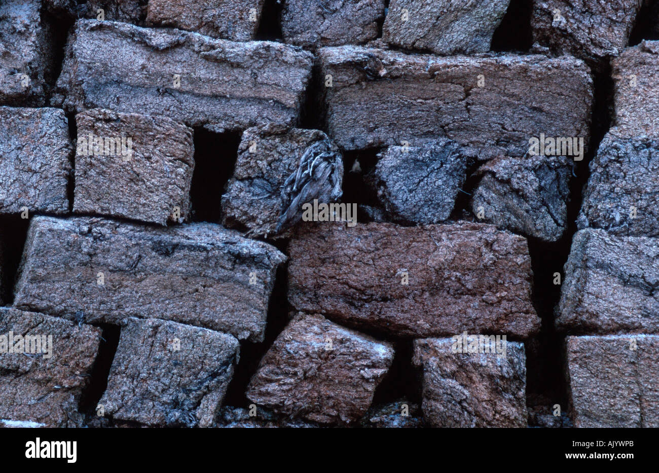 Torfstich hi-res stock photography and images - Alamy