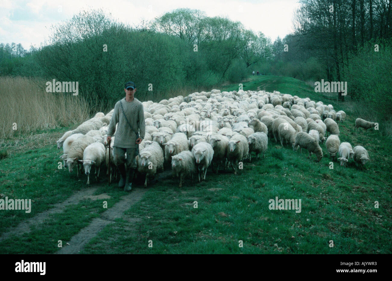 Schafhirte hi-res stock photography and images - Alamy