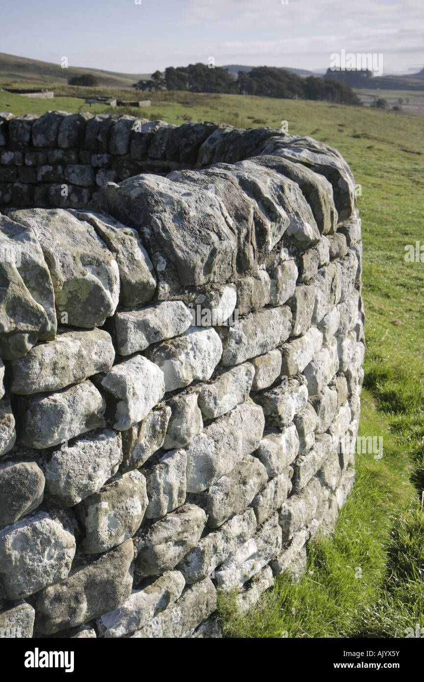 UK England Northumberland,Hexham,Hadrians Hadrian's Wall,Housesteads ...