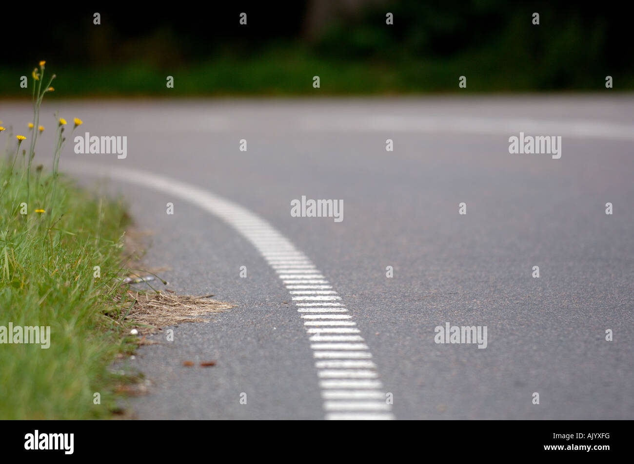Vanishing point. Point of sharp focus on the white line of a fast road ...